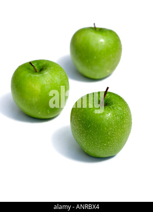 COMMON NAMEL: Green apple LATIN NAME: Malus Stock Photo - Alamy