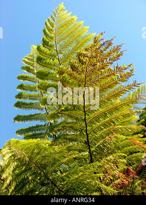 Plummers Point Tauranga New Zealand Stock Photo - Alamy