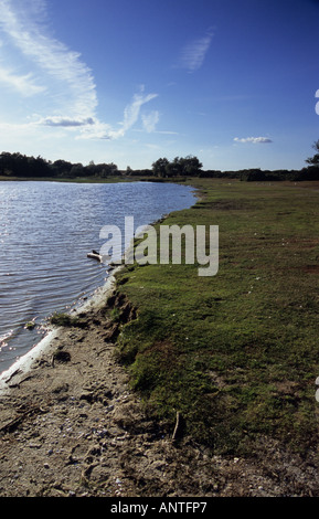 A view of Hatchet Pond in the new forest national park Stock Photo - Alamy