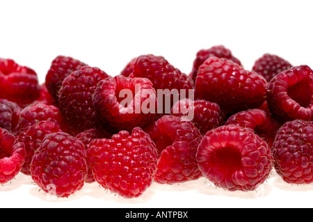 Raspberries, Rubus idaeus, is a tasty berry plant with red berries ...