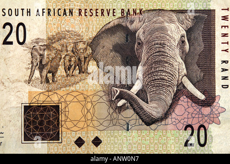 A Twenty Rand South African note against a white background Stock Photo ...