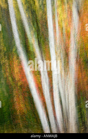 Fall Leaves Multiple Exposure Panning Stock Photo - Alamy