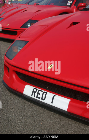 row of rare F40 ferrari's Stock Photo - Alamy