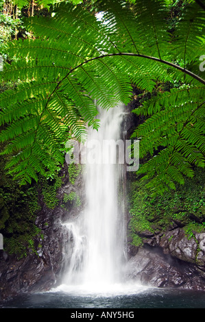 Malabsay Waterfall, Mount Isarog National Park, Bicol, southeast Luzon ...
