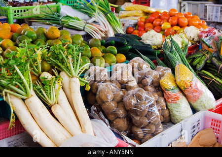 Philippines, Luzon island, Bontoc Stock Photo - Alamy