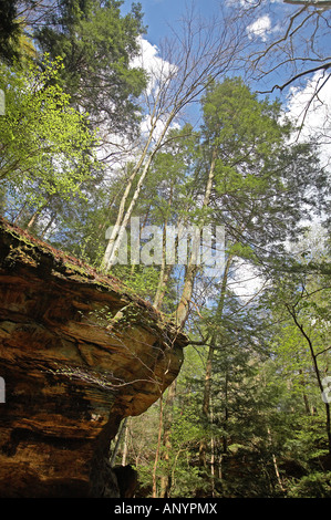 Trail 1 at Turkey Run State Park, Indiana, leads to the entrance of a ...