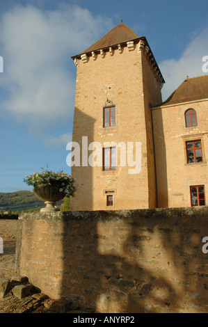 France, Burgundy, Maconnais region, Chateau de Pierreclos Stock Photo ...