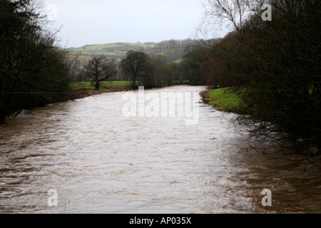 THE RIVER TAW DEVON CARRYING FLOODWATER DURING JANUARY 2008 Stock Photo ...