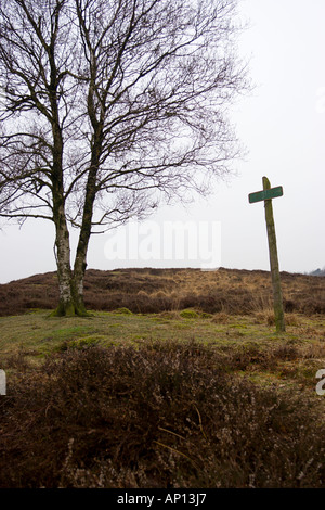 Landscape with bossage Stock Photo - Alamy