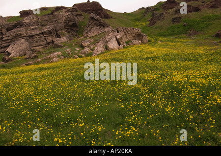 Rock formations and prairies Narsarsuaq Greenland Denmark Stock Photo ...