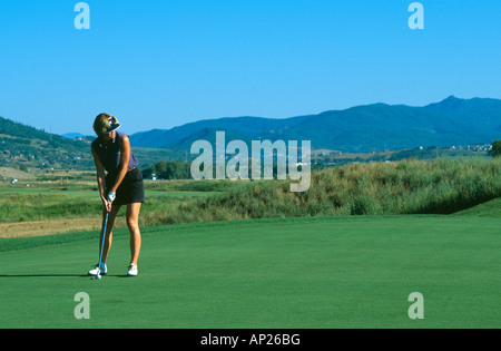Golfer putting Haymaker golf course Steamboat Springs Colorado USA ...