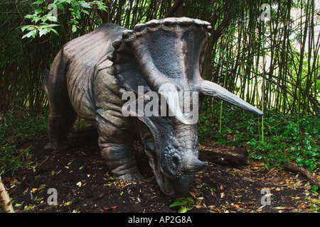 Triceratops which means three horned face dinosaur from the late ...
