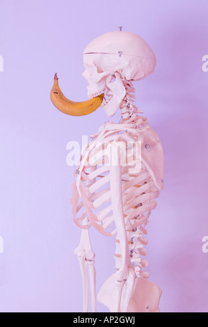 A human skeleton eating a banana Stock Photo - Alamy