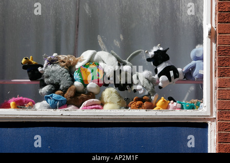 Collection of toys squashed against inside windows of first floor flat ...