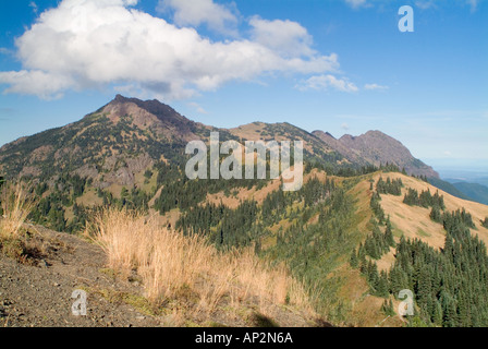 Mt Angeles with cloud over it Olympic National Park Hurricane Ridge ...
