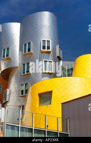 Modern architechture, Frank Gehrys Ray and Maria Stata Building, MIT ...