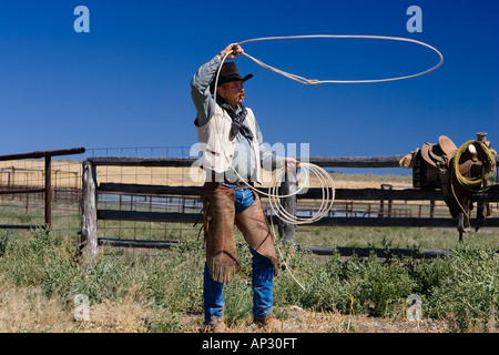 Cowboy throwing lasso wildwest, Oregon, USA Stock Photo - Alamy