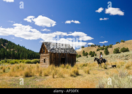 horse, usa, america, farm, cowboy, western, farmland, meadow, beautiful ...