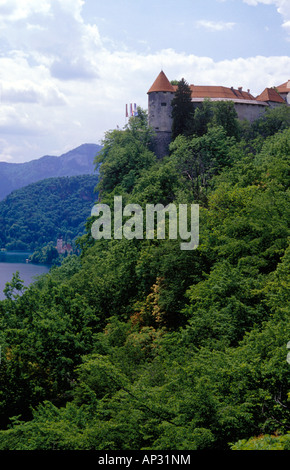 Bled Castle Blejski Grad Overlooking Lake Bled in Slovenia Stock Photo ...