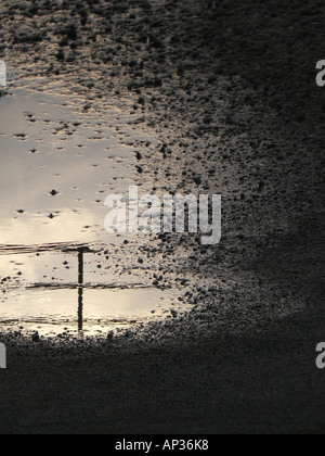 farm gate reflected in pool of water on street Stock Photo - Alamy