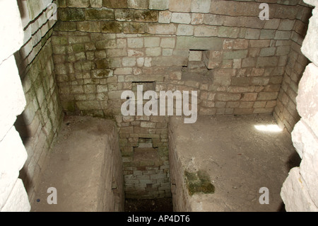 Central America, Honduras, Copan (aka Xukpi in Maya). Stone face Stock ...