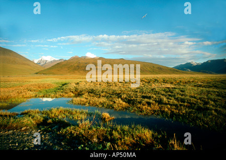 Mt. Chamberlin from the south shore of Schrader Lake looking up Coke ...