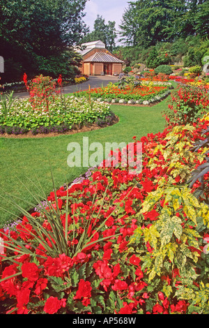 Fossil Grove at Victoria Park Glasgow, Scotland GB UK fossilized trees ...