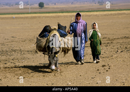 Iran, Kermanshah province, Kurdish nomads Stock Photo - Alamy