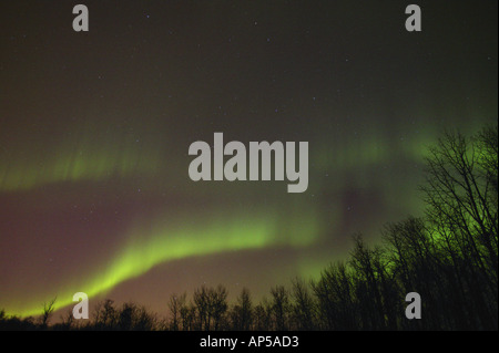 Northern lights, Edmonton, Alberta, Canada Stock Photo - Alamy