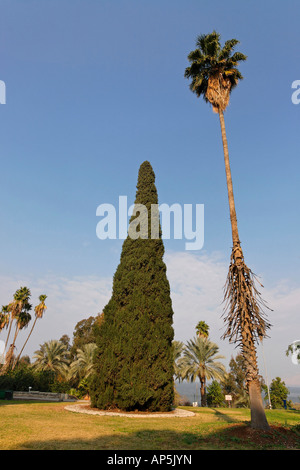 Israel, Sea of Galilee. Kibbutz Degania Alef Stock Photo - Alamy