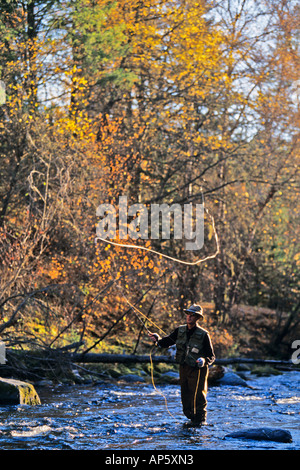 Flyfishing the Jocko River in Montana (MR Stock Photo - Alamy