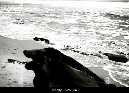 Black and white oceanscape high contrast Stock Photo - Alamy