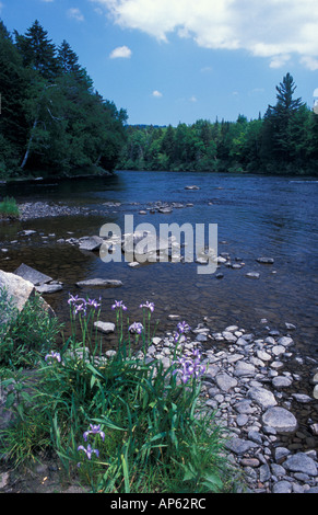 The Androscoggin River in Errol, New Hampshire Stock Photo - Alamy