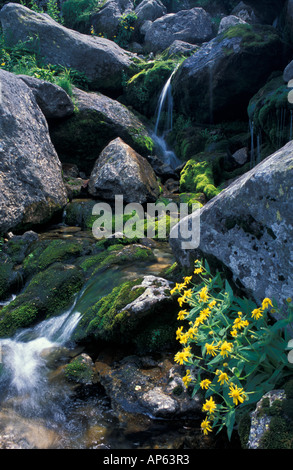 Water tumbles down the Great Gulf headwall Mt Adams and Mt Madison in ...
