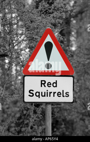 RED SQUIRREL ROADSIDE WARNING SIGN HIGHLANDS SCOTLAND Stock Photo - Alamy