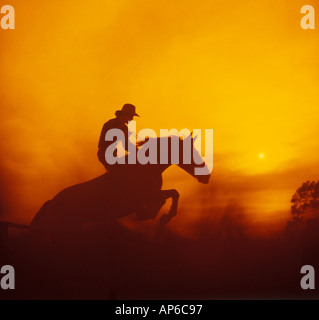 Man riding a horse while jumping over an obstacle in an equestrian ...
