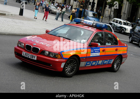 Metropolitan Police Parliamentary and Diplomatic Protection (PaDP ...