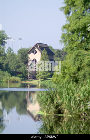 Lake Alice on the University of Florida campus on a sunny, winter day ...