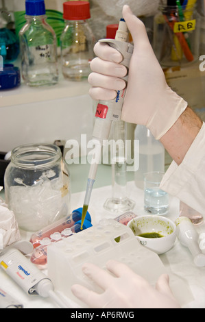 Laboratory technician with micro pipette Stock Photo - Alamy