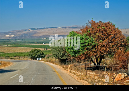 Israel Galilee Fire damages to the fields and forests in northern ...
