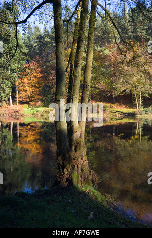 SOUDLEY PONDS NR CINDERFORD AUTUMN ROYAL FOREST OF DEAN GLOUCESTERSHIRE ...