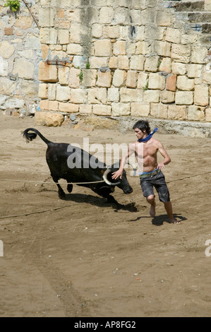 Bull charging man Sokamuturra bull running event Puerto Viejo, Algorta ...