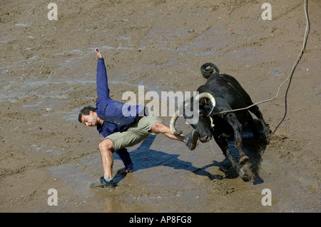 Bull charging man Sokamuturra bull running event Puerto Viejo, Algorta ...