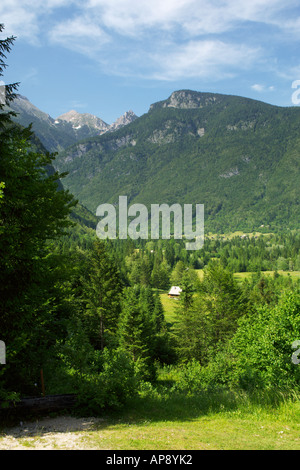 Voje Valley, Triglav National Park (Triglavski Narodni Park), Slovenia ...