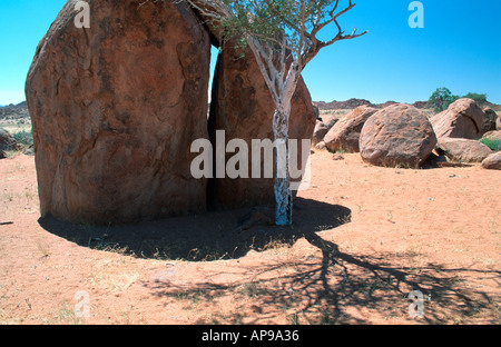 Tree and rock Namibia 2000 Stock Photo - Alamy