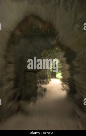 blurred path in moserrate Palace gardens, Sintra, Portugal Stock Photo ...