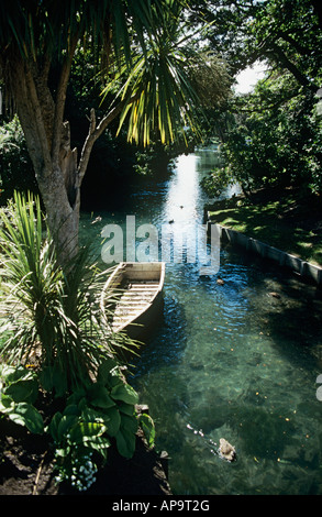 Shadow and sunlight on the river in the forest Stock Photo - Alamy