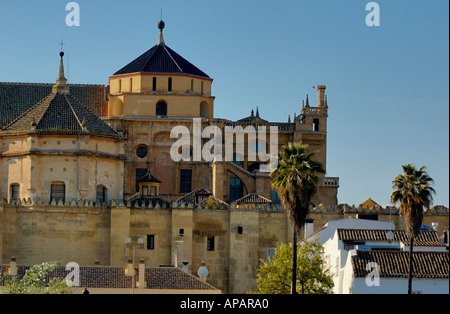 The Great Mosque of Cordoba. Spain Stock Photo - Alamy