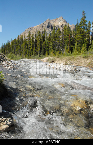 Typical mountainous, glacier fed river Stock Photo - Alamy