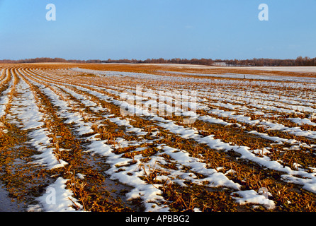 Agriculture fields partially covered with snow Stock Photo - Alamy